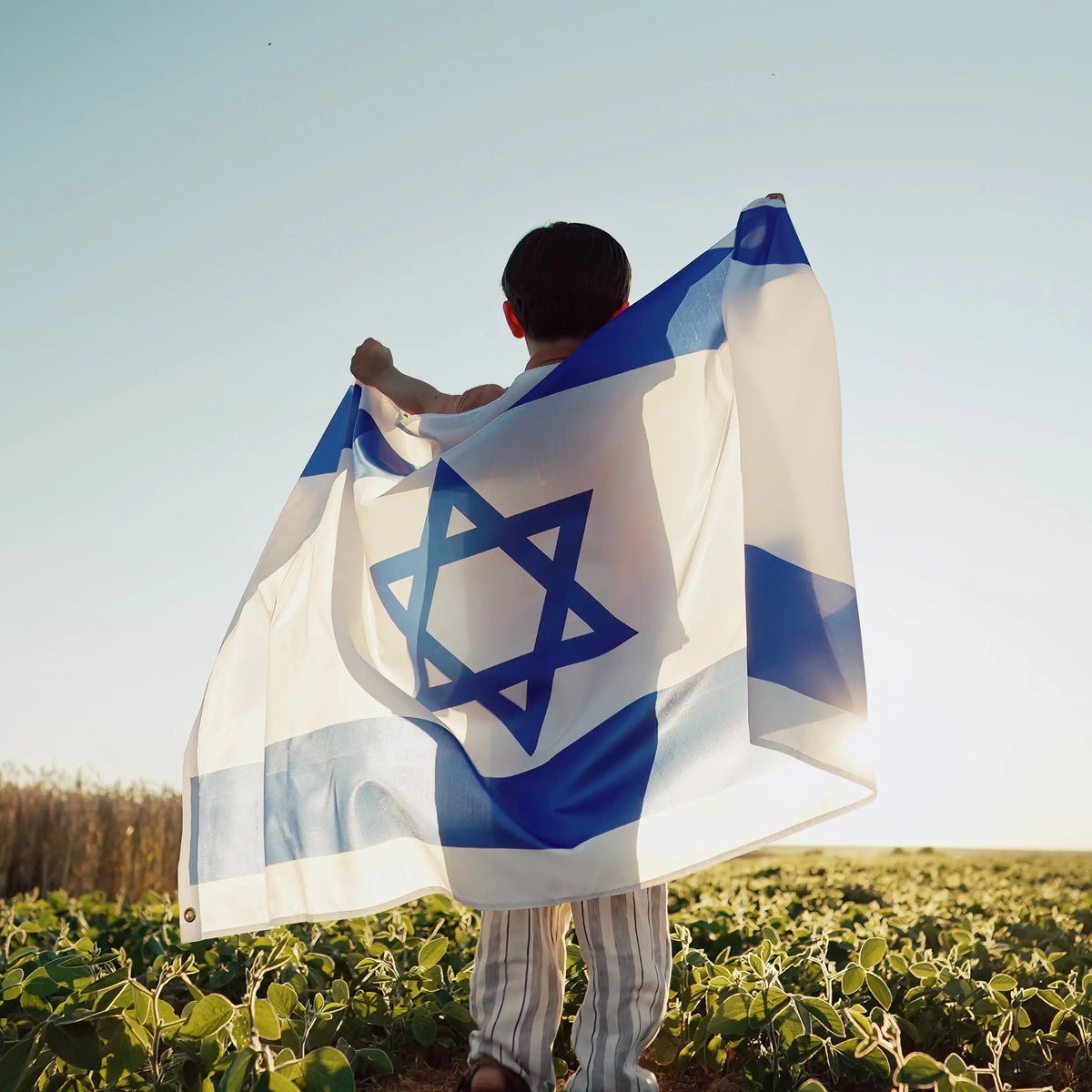 Flag Of Israel: What Does it Really Mean? - The Israel Store