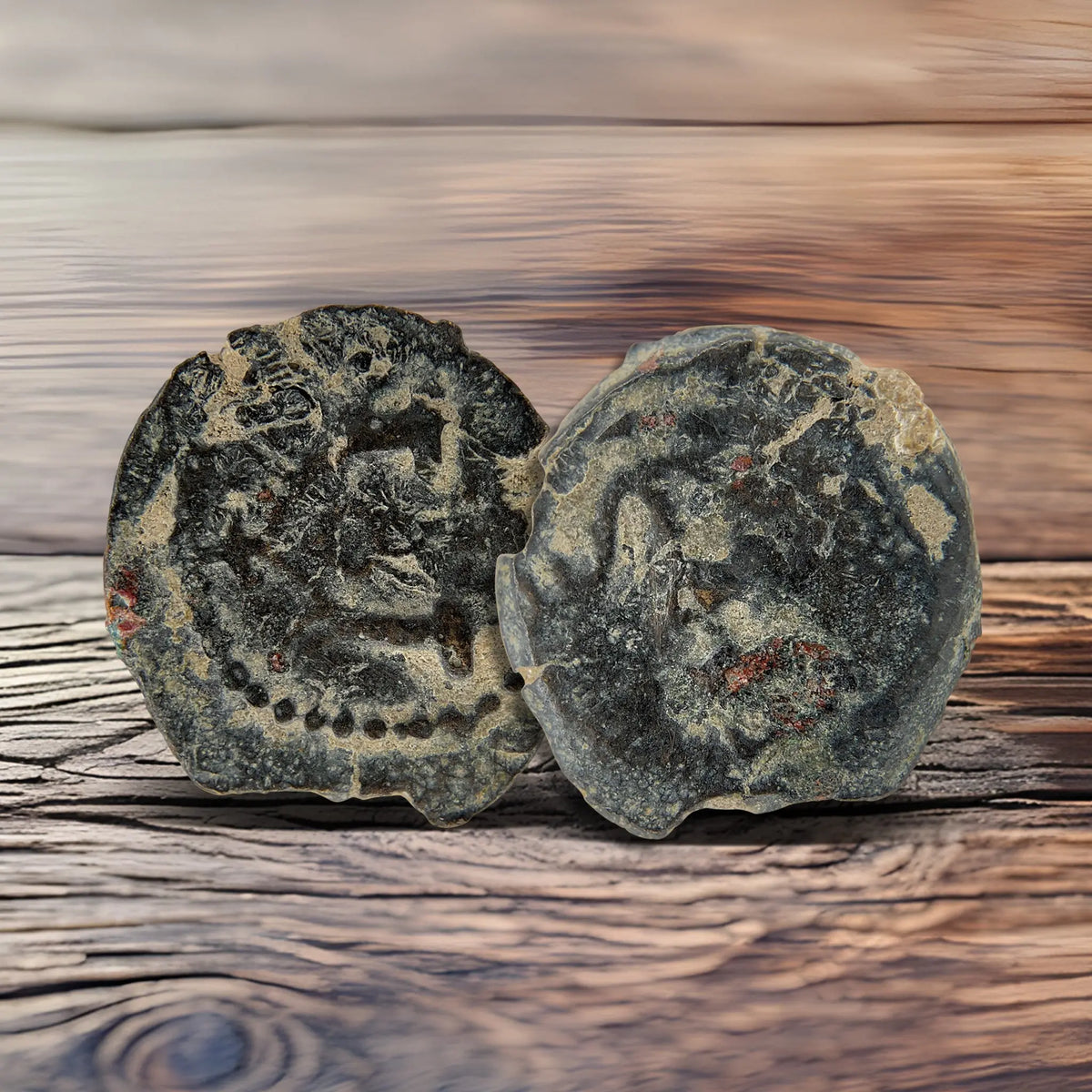 Herod Agrippa Coins - The Israel Store
