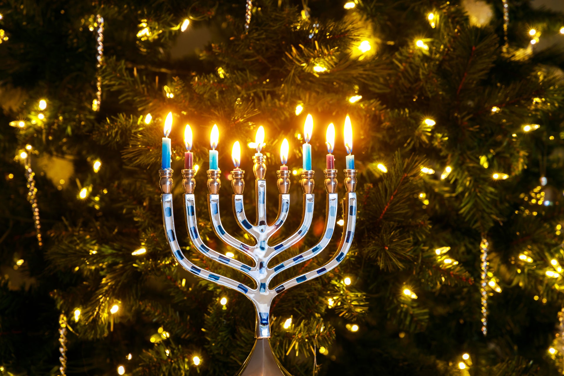 The Israel Store - Shop Israel | Israeli Gifts | Judaica | Jewelry