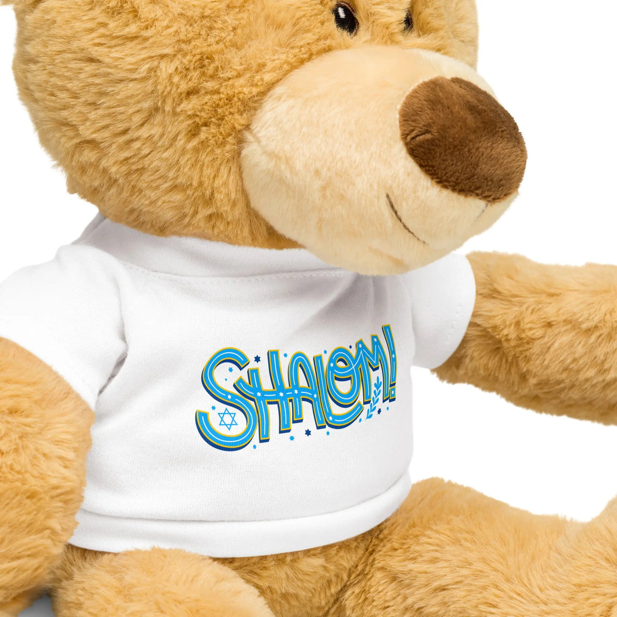 Teddy Bear - Cozy Plush Gift for Peace and Friendship – The Israel Store